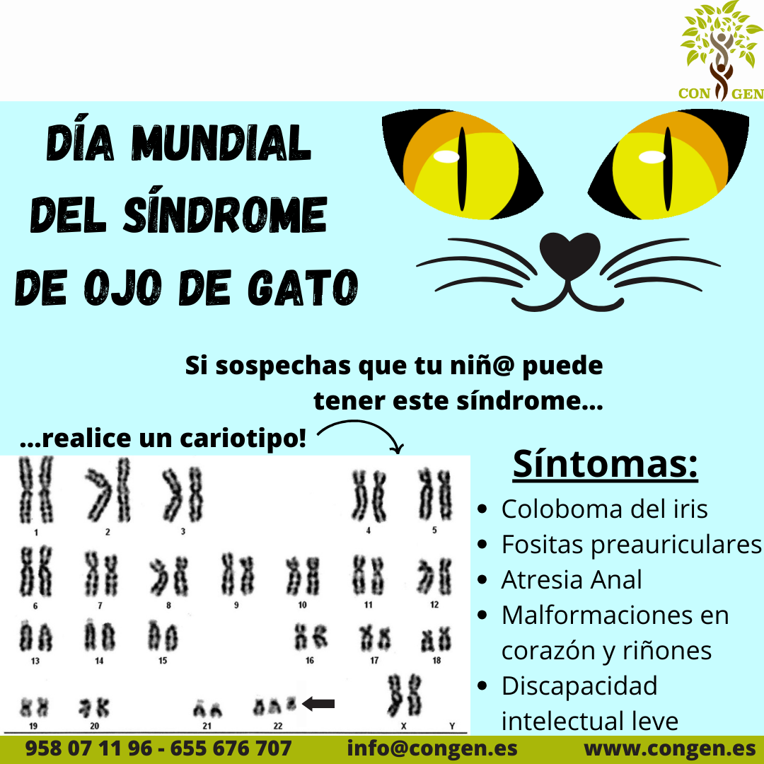 Infografías de enfermedades - Congen